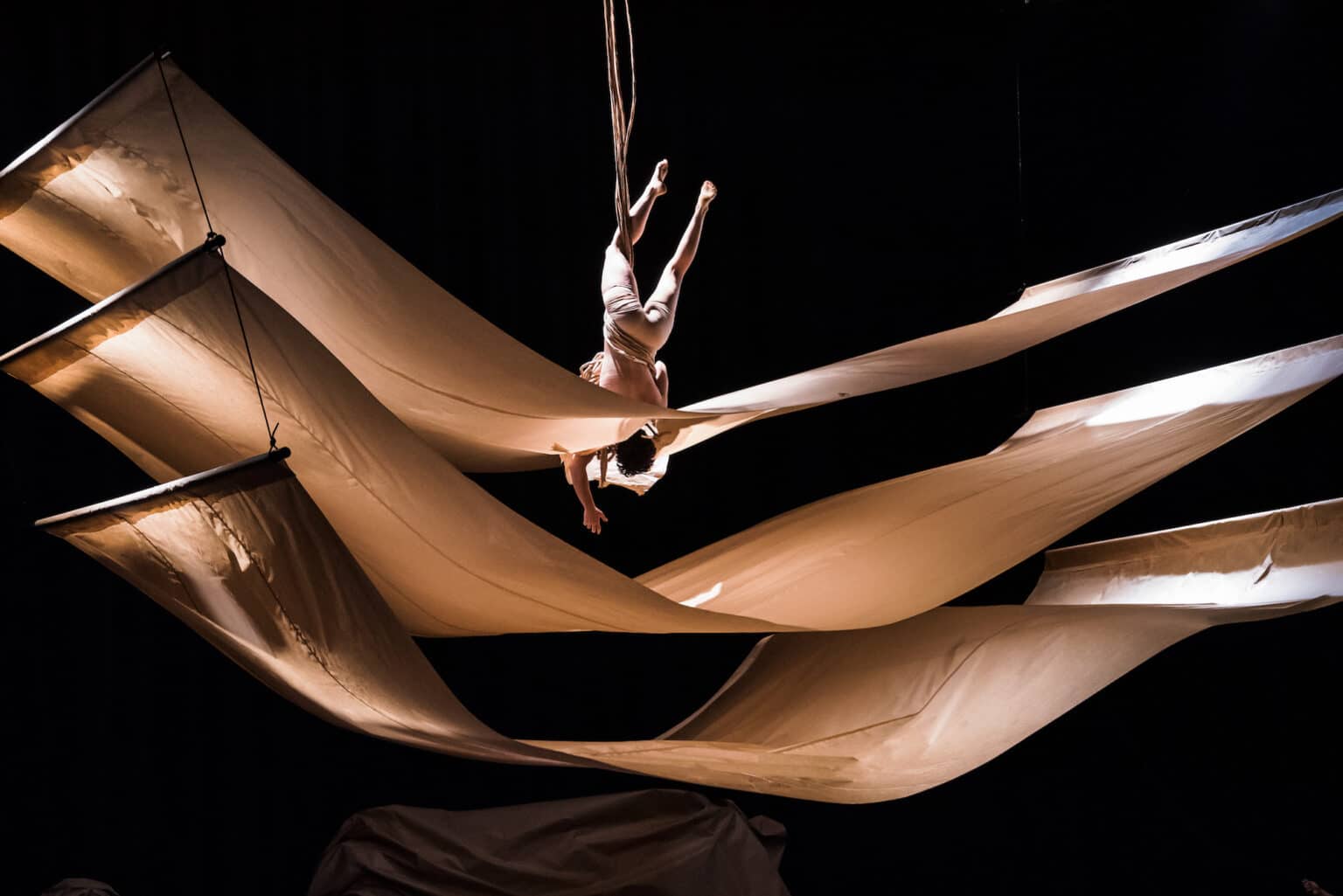 Présentation - Découvrez le cirque contemporain