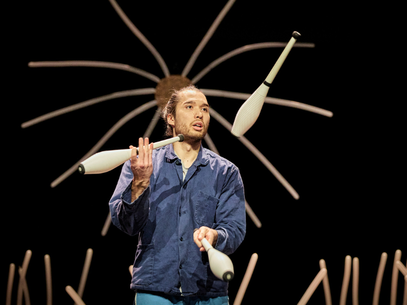 David Martin - circusnext - European Circus Label