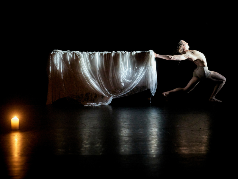 Juan Carlos Panduro - circusnext - European Circus Label